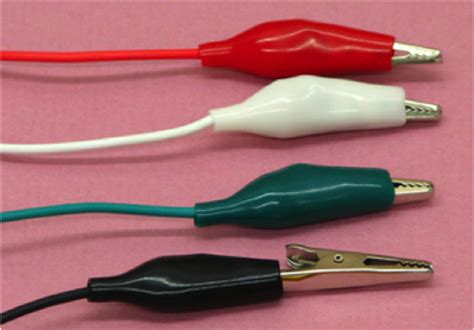 Micro Bit Input Devices Flashcards Quizlet