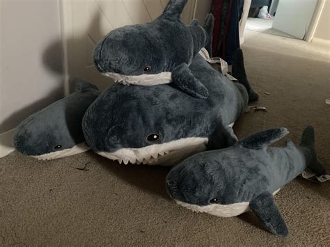 My Blahaj collection so far. : r/BLAHAJ