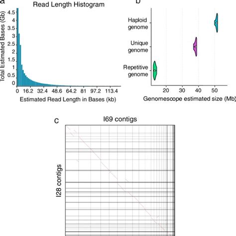 Quality Control Checks Implemented On Different Steps Of Genome Download Scientific Diagram