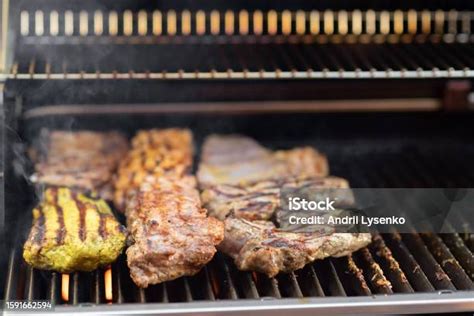 쇠고기 닭고기 돼지고기 칠면조 구이 스테이크 불에 구운 고기 여름 메뉴의 컨셉 고기에 대한 스톡 사진 및 기타 이미지 고기
