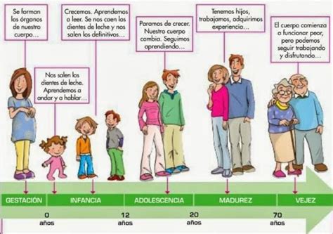 Como En Pieza La Infancia Pubertad Adolescencia Adultez Y Vejez