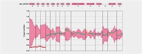Bioinformatics Company Celemics Inc