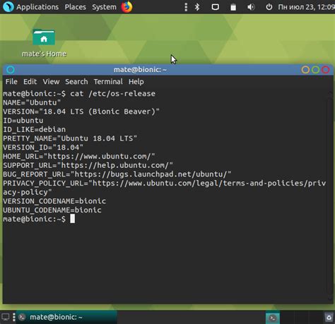 parrot os terminal shelana