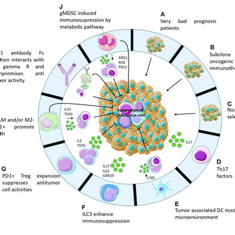 Studies Reporting Hyperprogressive Disease Patterns Download