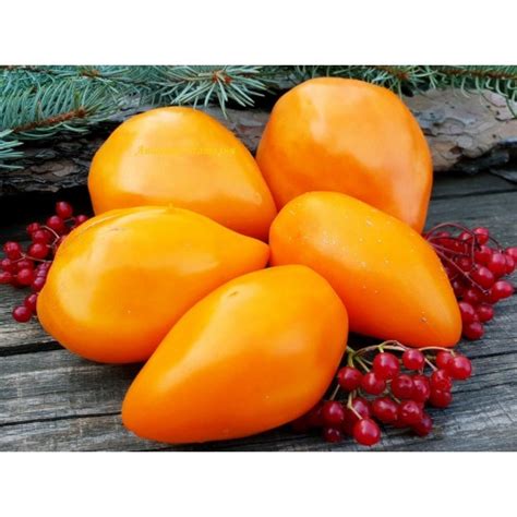 Сердце пустыни