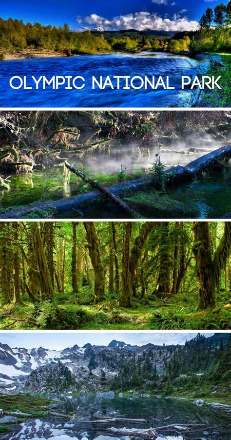 The Cant Miss Sights Trails And Scenic Drives Of Olympic National