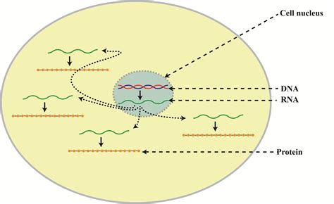 Background Tufts Tts Research Technology Tutorials Beta