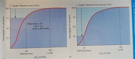 Dissociation Graph Diagram Quizlet