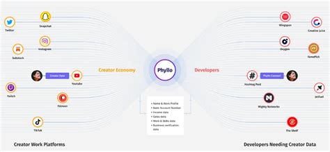Social Media Api Guide On Top Apis For Developers Phyllo