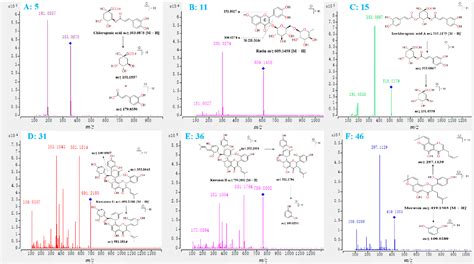 Figure 1 From Lc Ms Metabolite Profiling And The Hypoglycemic Activity Of Morus Alba L Extracts