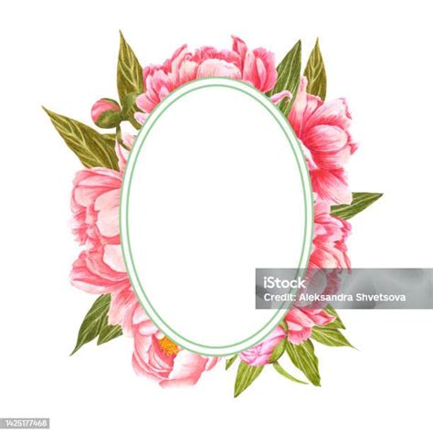 손으로 그린 수채화 분홍색과 붉은 모란 꽃 프레임은 흰색 배경에 녹색 잎과 새싹이 있습니다 스크랩북 디자인 청첩장 라벨 배너 엽서 0명에 대한 스톡 벡터 아트 및 기타