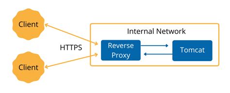 What Is A Reverse Proxy