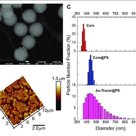 Physical Characterization Of Au Tracer Ps Particles A Sem Images