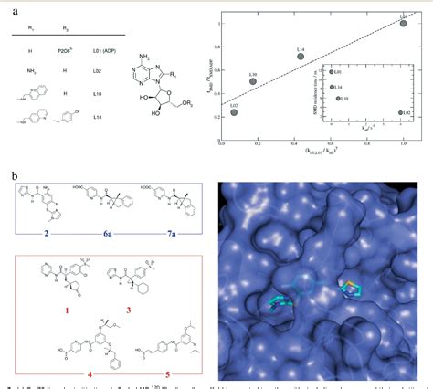 Figure 1 From Protein Ligand Un Binding Kinetics As A New Paradigm For Drug Discovery At The