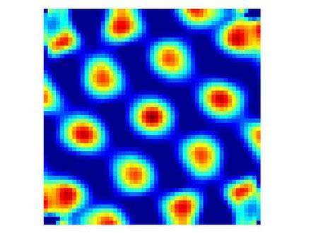 Grid Cell Wikipedia