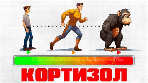 Как стресс делает нас сильнее и разрушает личность Youtube