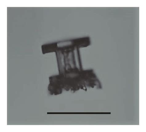Some Examples Of Solid Precipitation Particles Collected At The Yan