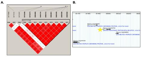 Genomic Distribution Of Mapped Snps Ld Block Delimited By Black