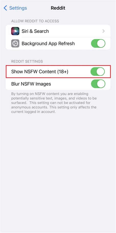 How To Turn On Or Off Nsfw On Reddit Techcult