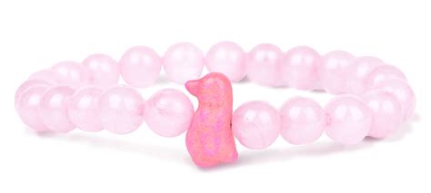 Fahlo Bracelets Track A Penguin Pacific Marine Mammal Center