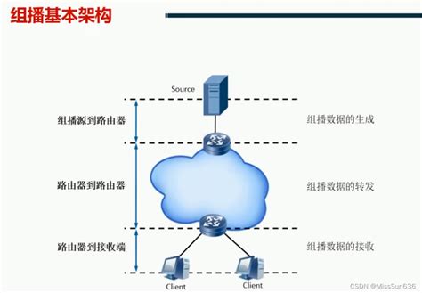 第十九天 组播基础 igmp 组播 igmp csdn博客