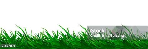 잔디밭 푸른 잔디 와 완벽 한 경계 잔디의 녹색 실루엣의 수채화 그림입니다 여름 잔디 초원 요소 디자인 자연 풍경 봄 허브 유기농 바이오 에코 라벨 및 형태 Verdura