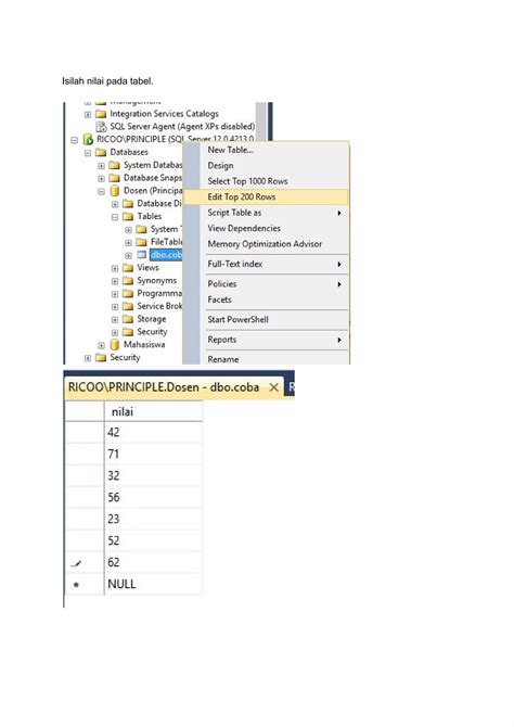Database Mirroring Microsoft Sql Server Pdf