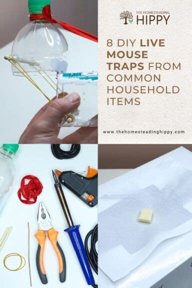 8 DIY Live Mouse Traps From Common Household Items