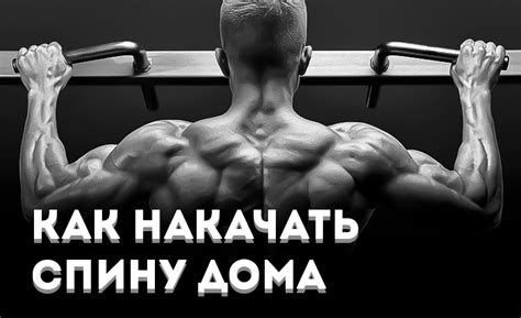 Как накачать мощную спину дома Пикабу