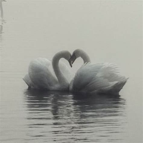 Stream Promise Music Listen To Songs Albums Playlists For Free On SoundCloud