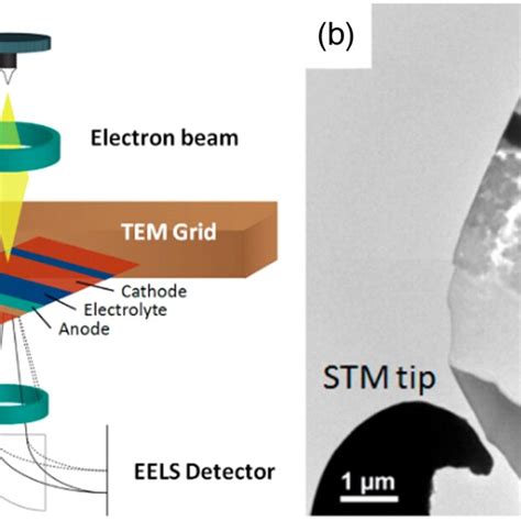 A Schematic Setup For Stem‐eels Investigations On An Operating Cell