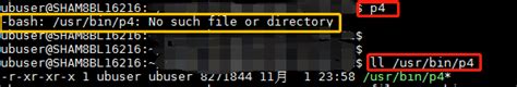 Linux执行可执行文件提示no Such File Or Directory的解决方法位数不匹配 声声慢43 博客园