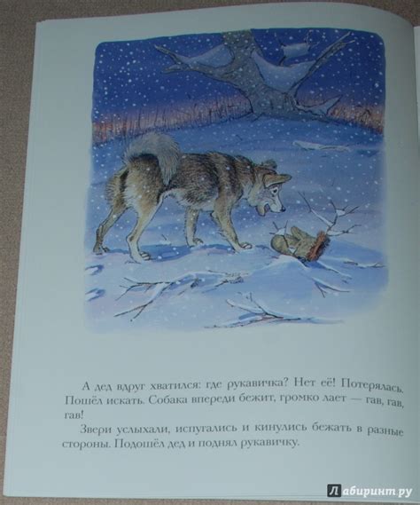 Книга: Рукавичка - . Купить книгу, читать рецензии | Лабиринт