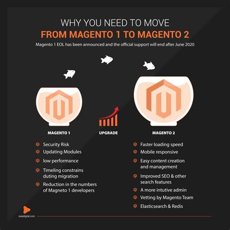 reea digital limited on linkedin reeadigital magento magento2