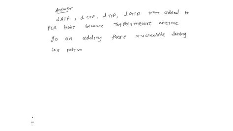 Solved Why Are Datp Dctp Dttp And Dgtp Added To A Pcr Reaction Tube They Catalyze The