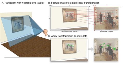 Overview Of Mapping Dynamic Gaze Data To Fixed Reference Image A