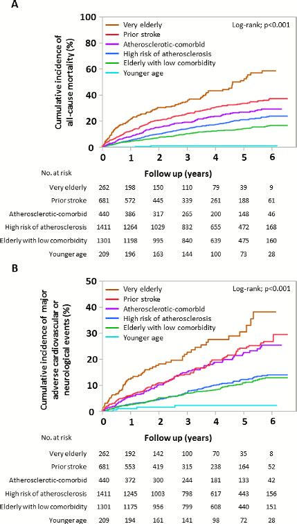 Abstract 13280 Characteristics And Clinical Outcomes In Patients With Atrial Fibrillation