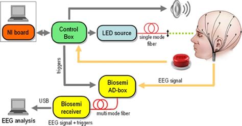 Experimental Setup A Light Emitting Diode LED Was Digitally Download Scientific Diagram