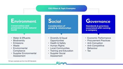 Sustainability Vs ESG Vs CSR What S The Difference Rimm Sustainability