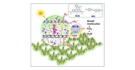 Anion Directed Self Assembly Of Calix 4 Arene Based Silveri Coordination Polymers And