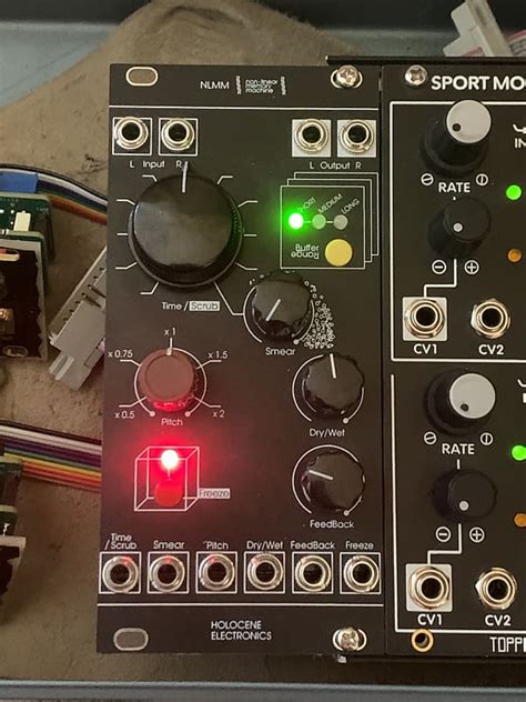 holocene electronics non linear memory machine black reverb