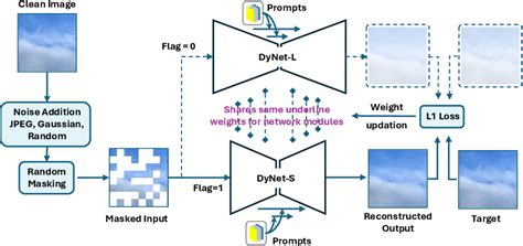 dynamic pre training towards efficient and scalable all in one image