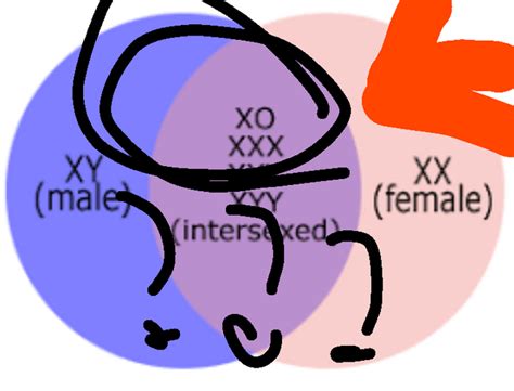 When The Intersex Chromosomes Contain A Geometry Dash Reference R Okbuddygmd
