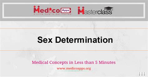 Sex Determination New