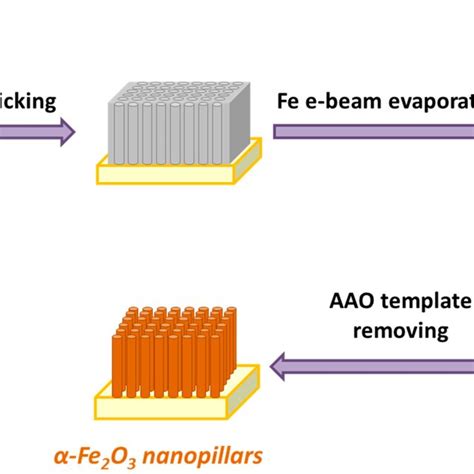 Schematic Representation Of A Pec Cell Download Scientific Diagram