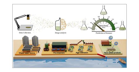 machine learning assisted image analysis for microalgae prediction