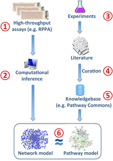 Workflow For The Performance Evaluation Of Network Inference Methods On