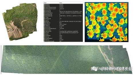 基于matlab的无人机遥感数据预处理与农林植被性状估算 知乎