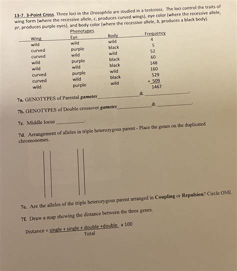 Solved 13 7 3 Point Cross Three Loci In The Drosophila Are