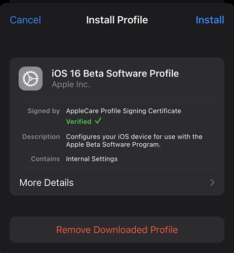 How To Download Ios 16 Developer Beta For Free On Your Iphone Steps